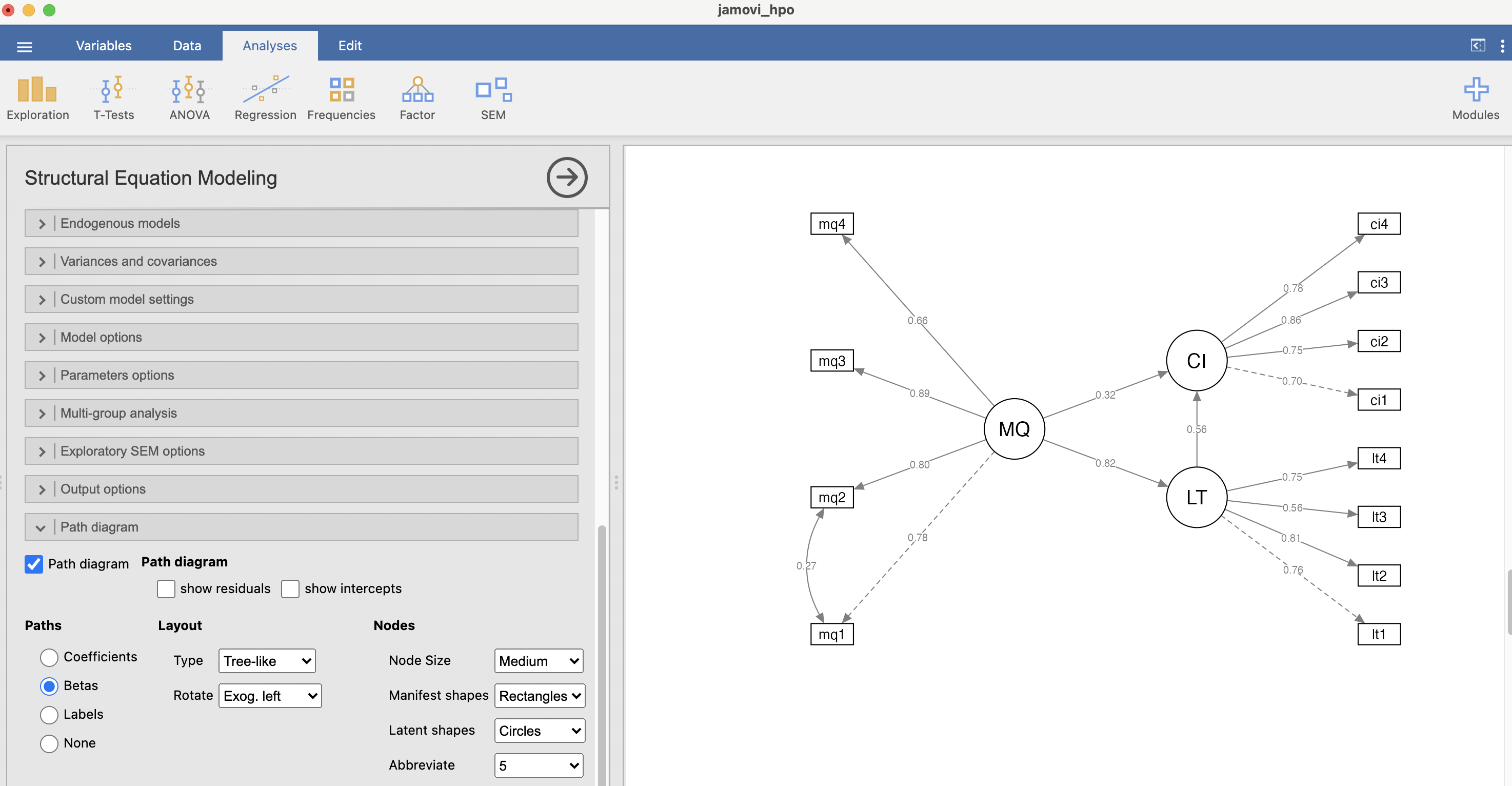 SEM (Structural Equation Modeling)